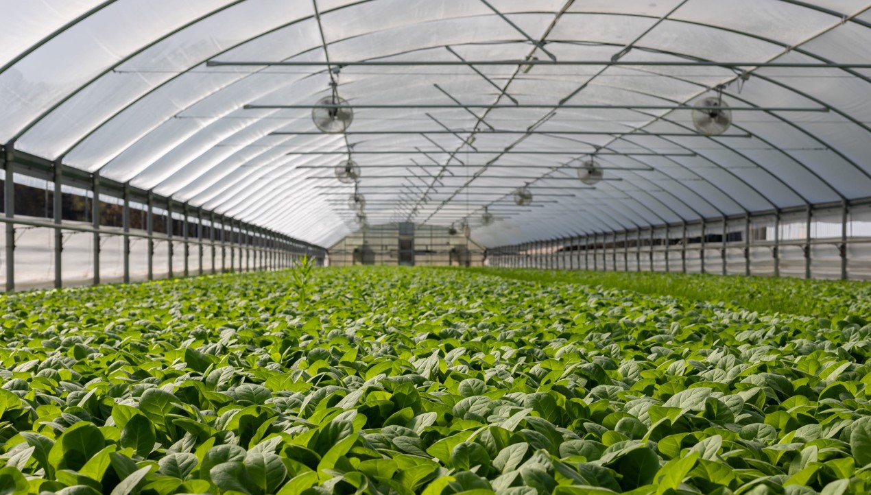 member envireau water - UKIA Irrigation